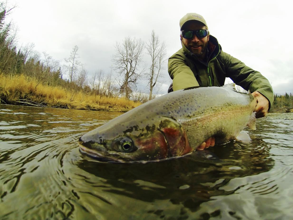 Testimonials | Alaska Steelhead CO.