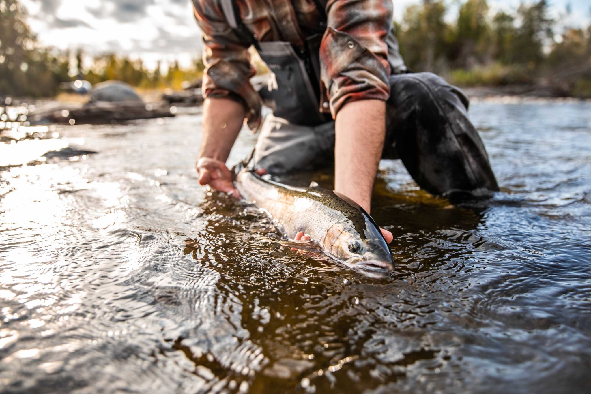 Fly Fishing Steelhead In Alaska | Alaskan Steelhead Fly Fishing